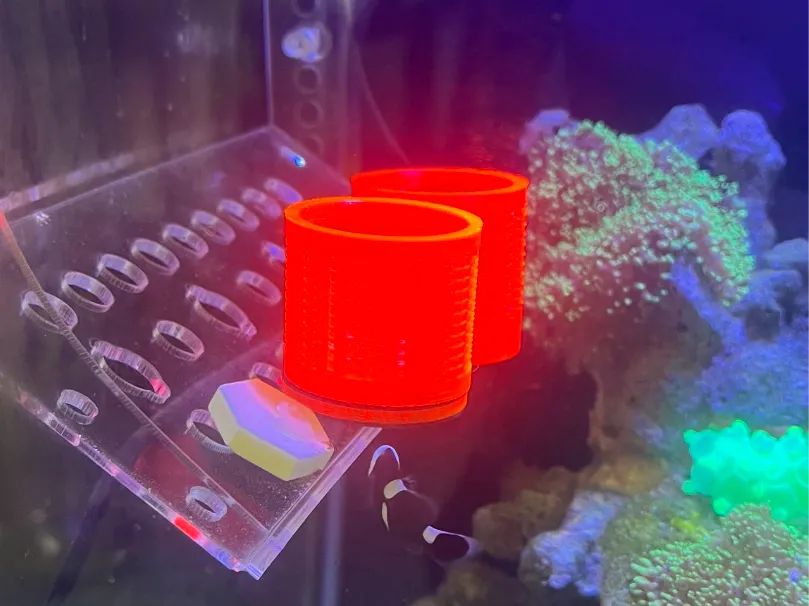 Coral Rock Box, Isolation Box, Breeding Box. by HUN956 - MakerWorld
