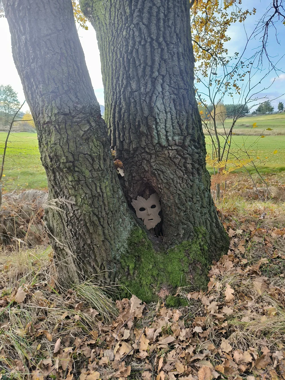 Old Tree Face by Sevro MakerWorld: Download Free 3D Models