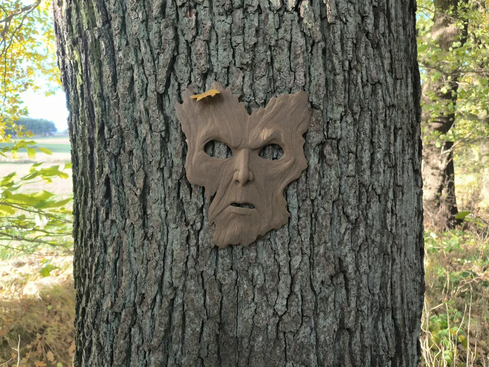 Old Tree Face - Free 3D Print Model - MakerWorld