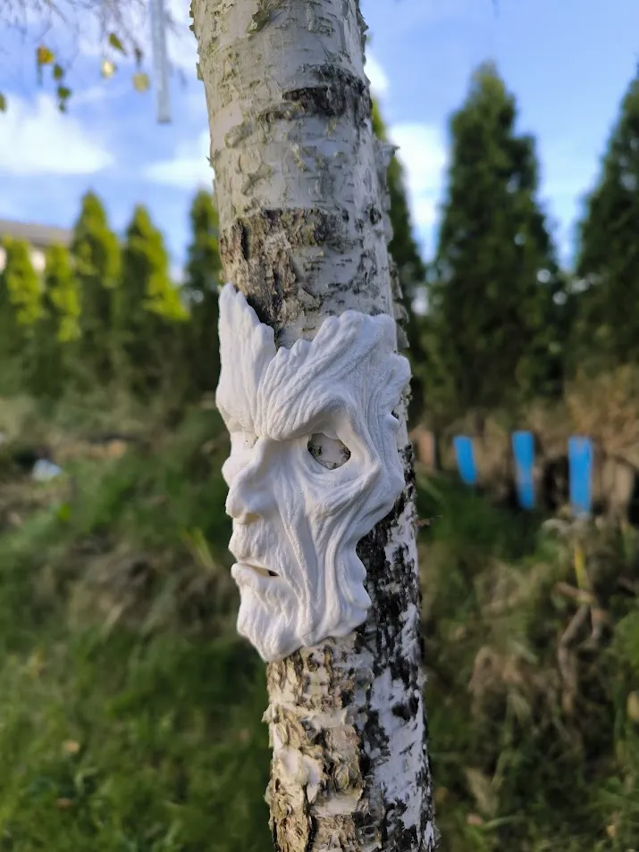 Old Tree Face - Free 3D Print Model - MakerWorld