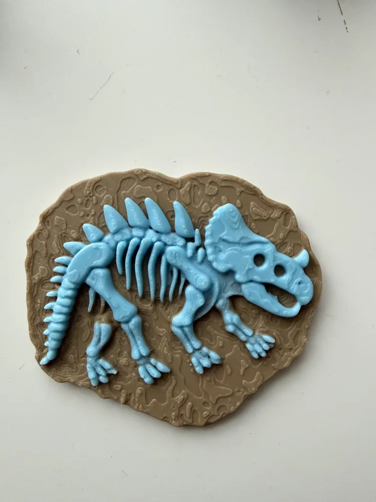 Stegosaurus fossil by Real_Prints MakerWorld: Download Free 3D Models