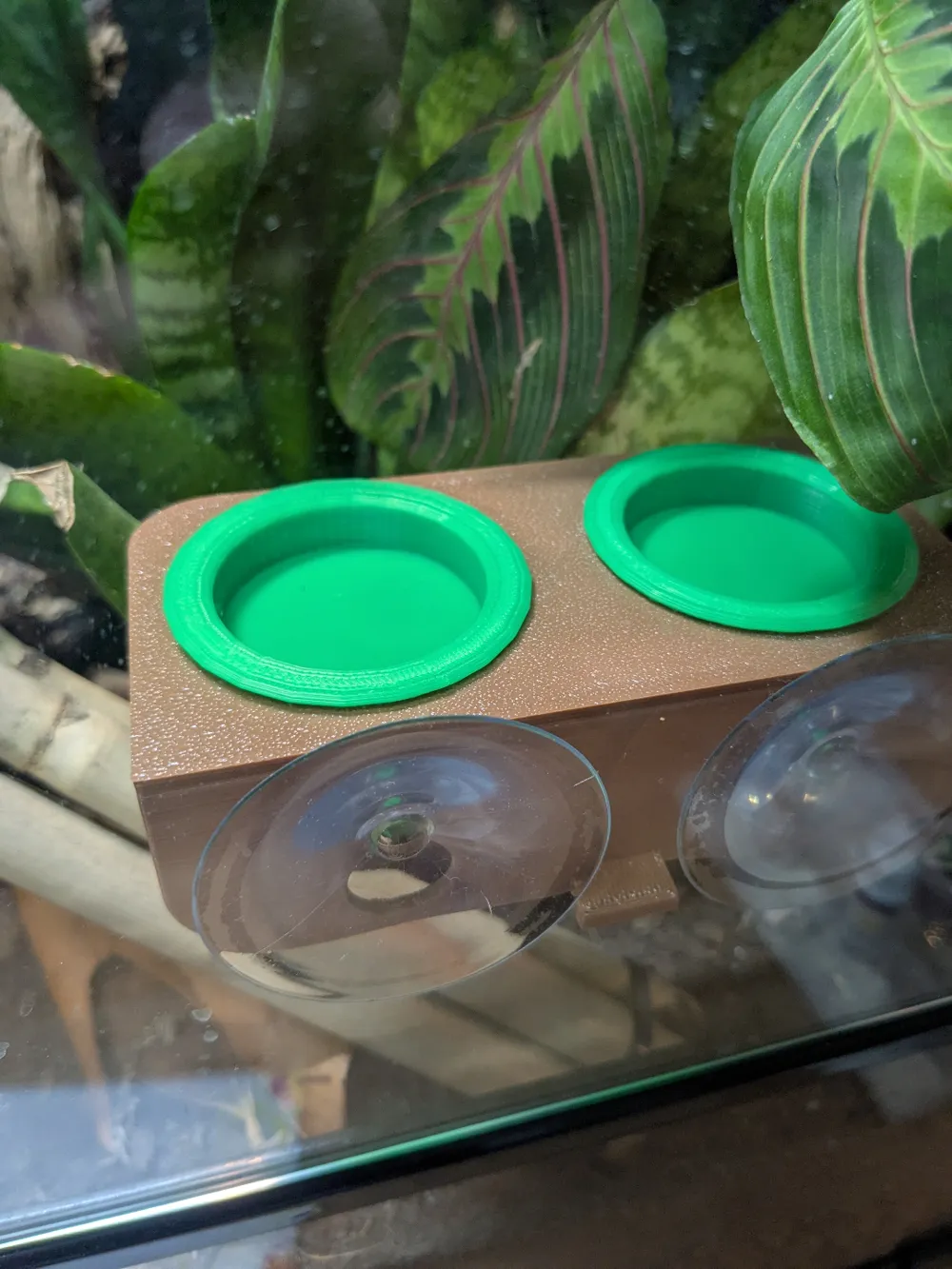 Gecko Feeding Ledge with Cups - Free 3D Print Model - MakerWorld