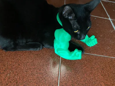 Hulk arms on cat Remixed by Dino J - MakerWorld