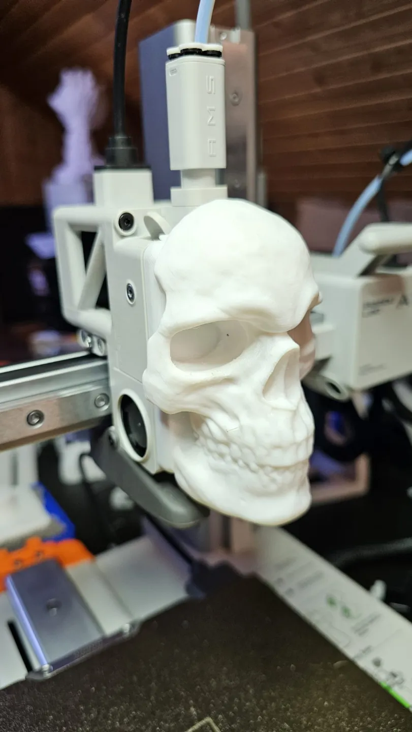 Front Cover A1 and A1 Mini Skull - Free 3D Print Model - MakerWorld