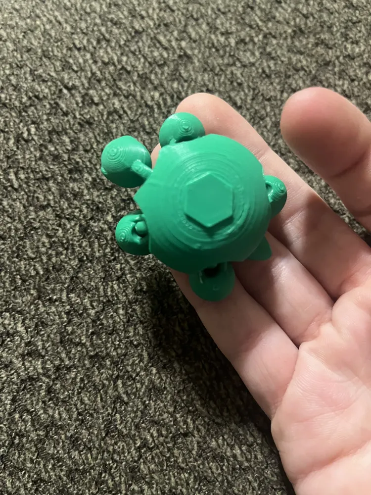 Cute turtle flexi by Kaleb08 - MakerWorld