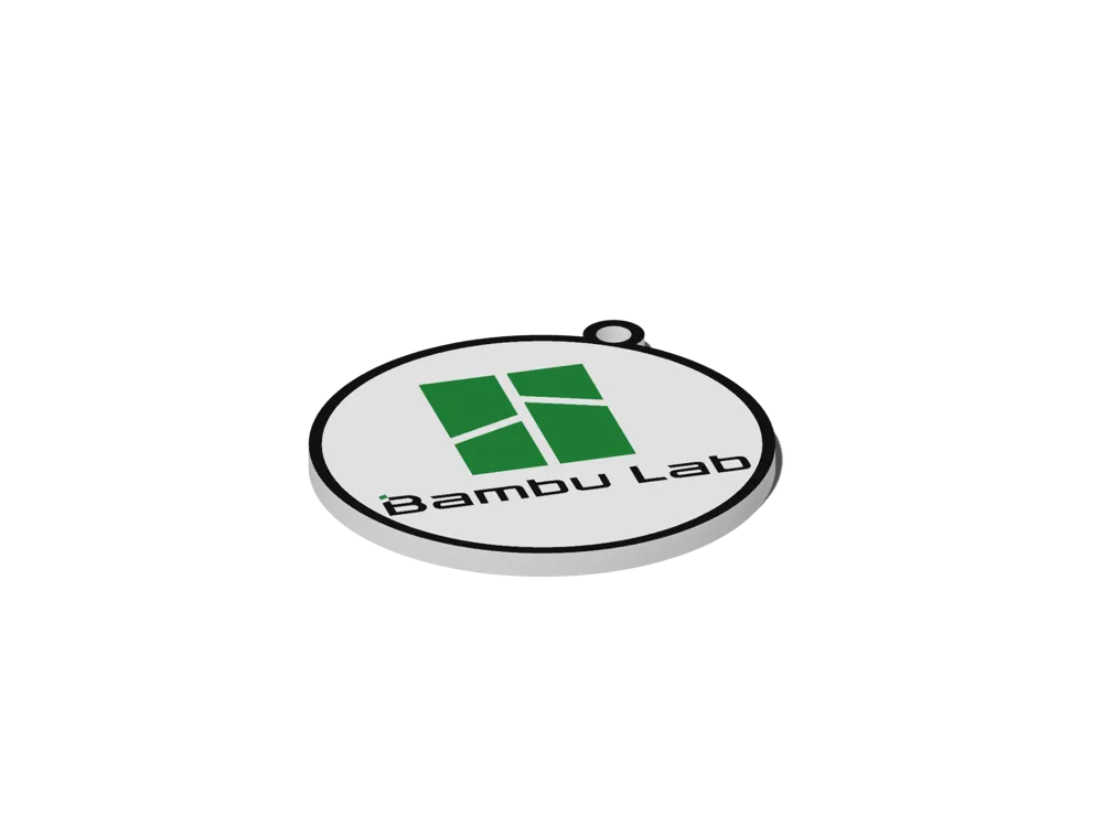Bambulab Coin Keychain by Argrafic3d - MakerWorld