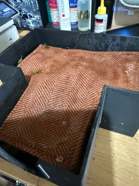 humid snake hide/box by dizzella MakerWorld: Download Free 3D Models