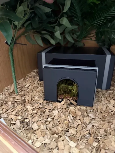 humid snake hide/box by dizzella MakerWorld: Download Free 3D Models