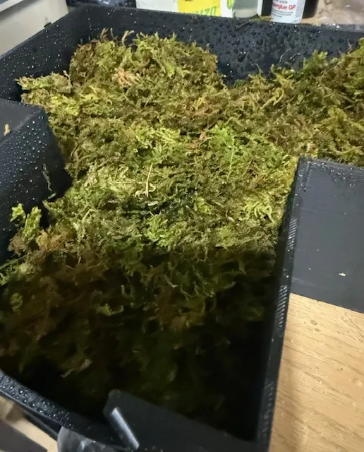 humid snake hide/box by dizzella MakerWorld: Download Free 3D Models