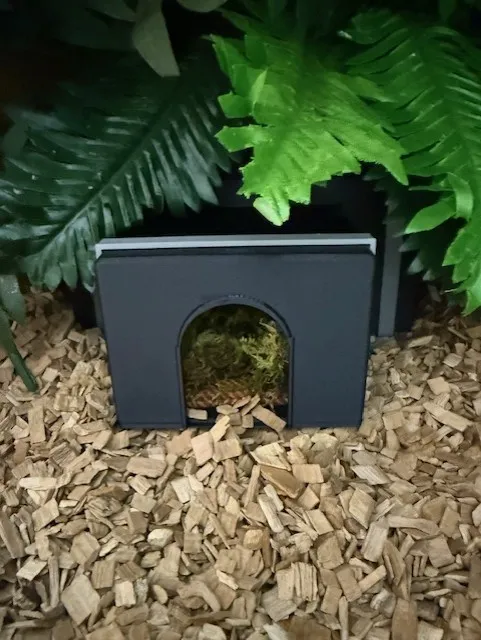 humid snake hide/box by dizzella MakerWorld: Download Free 3D Models