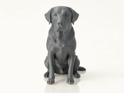 labrador 3d print model download - MakerWorld