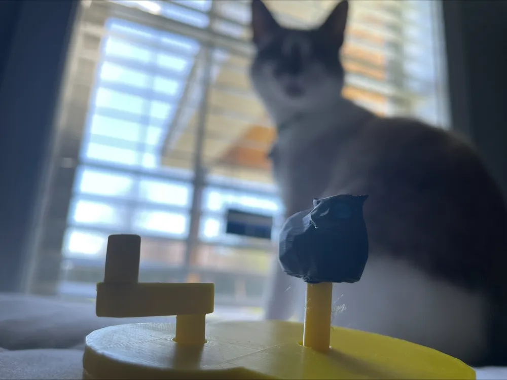Maxwell the spinning cat (cat approved) by bronsonjr99 MakerWorld ...