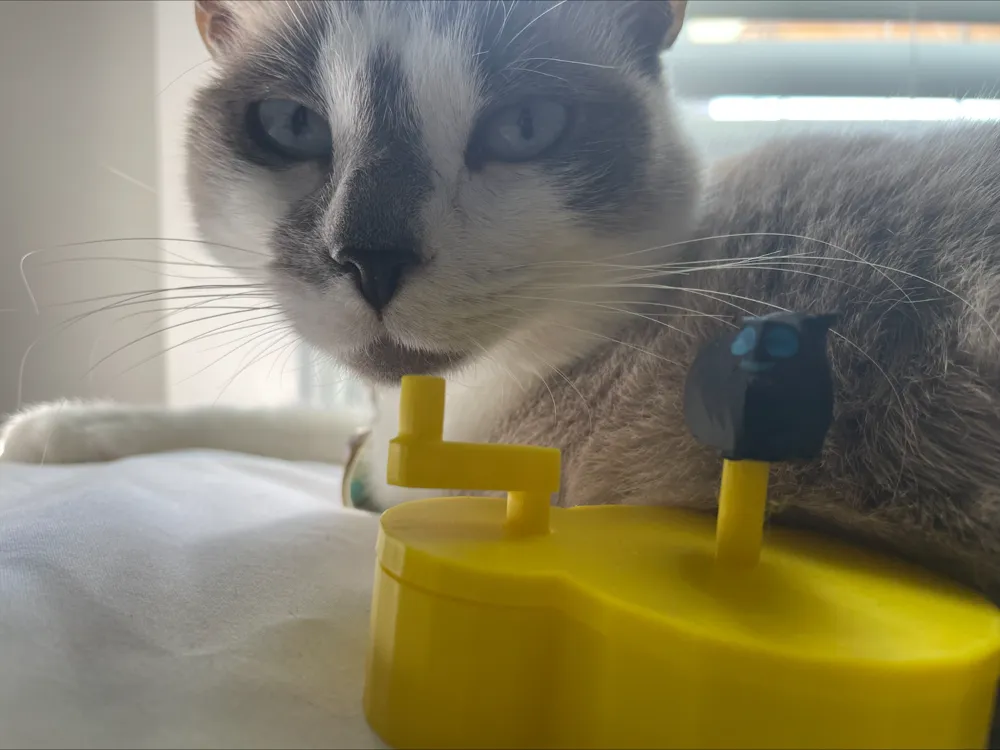 Maxwell the spinning cat (cat approved) by bronsonjr99 MakerWorld ...