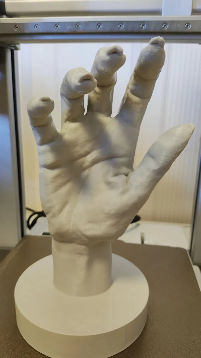 Hand Model Stand by user_843585965 - MakerWorld