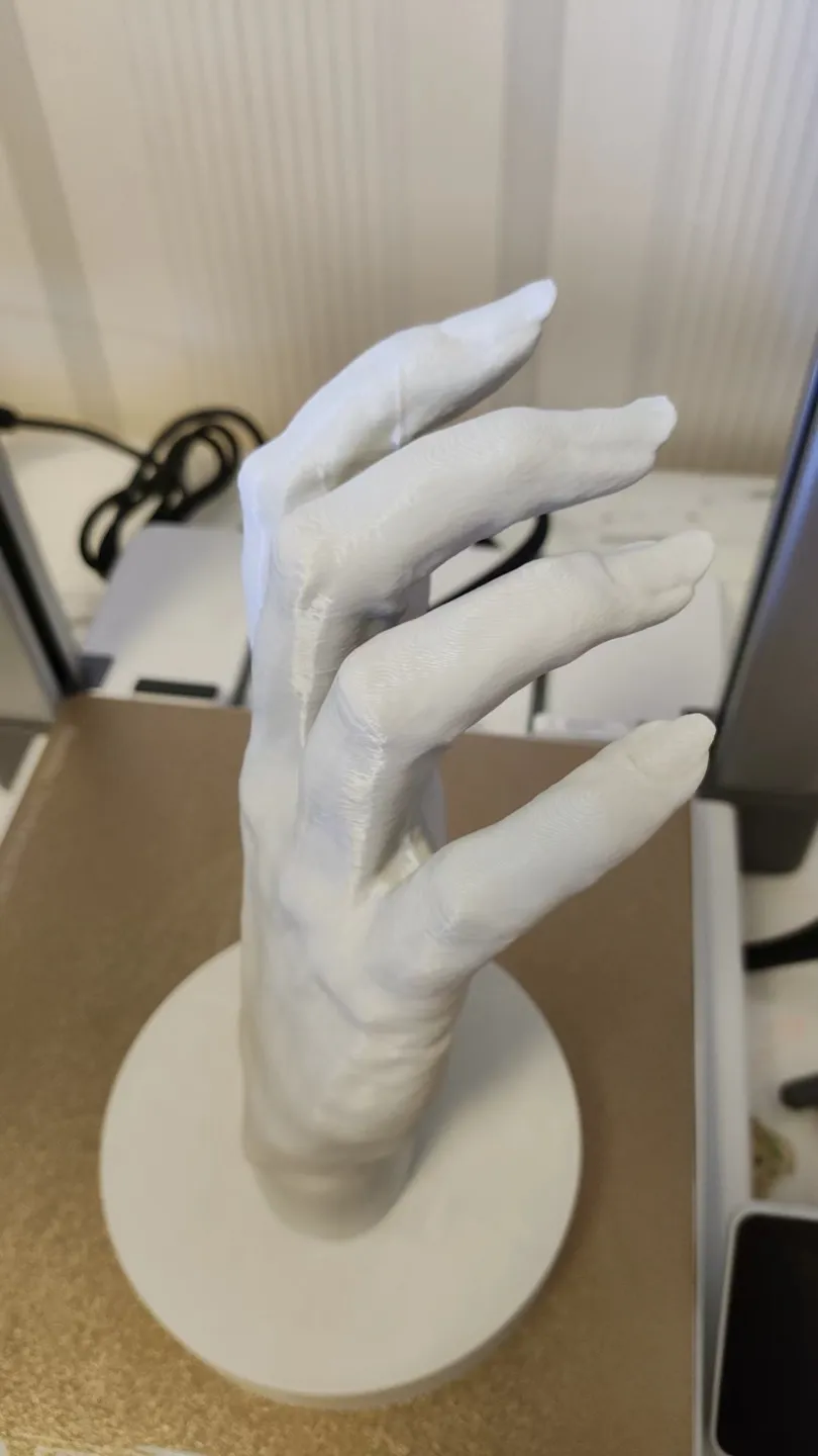 Hand Model Stand by user_843585965 - MakerWorld