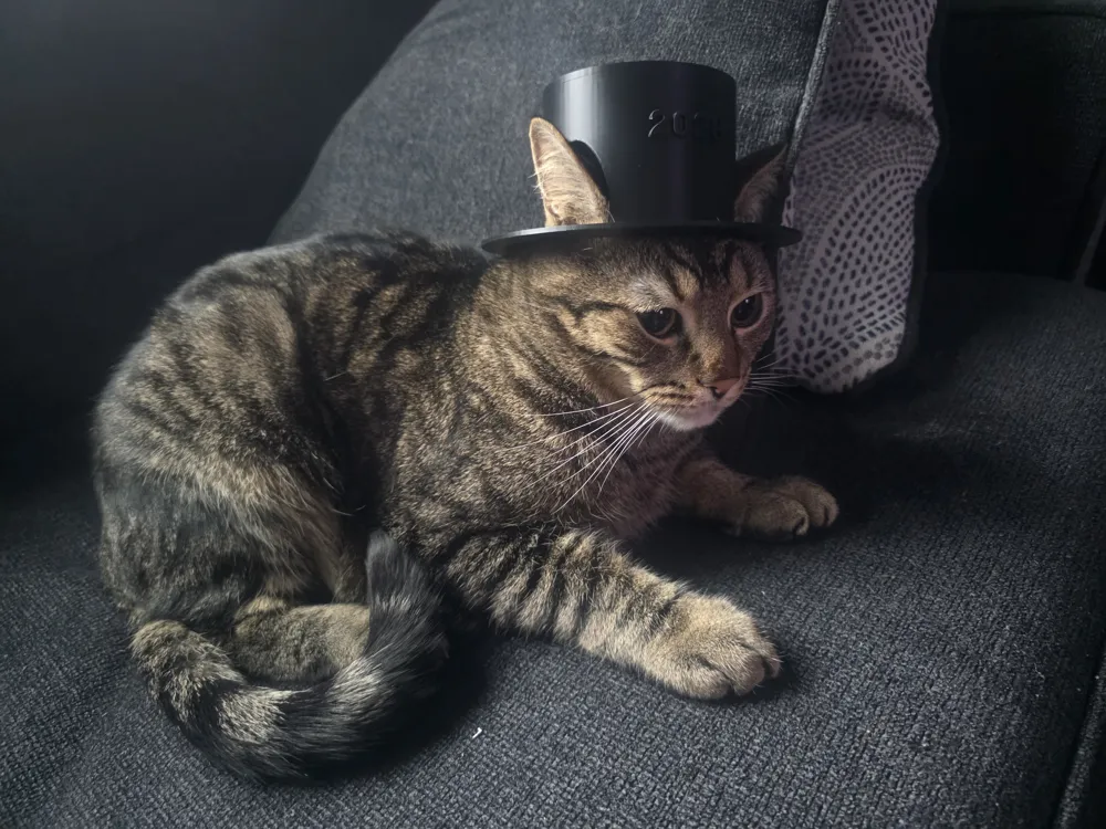 2026 New Years Eve Cat Top Hat - Free 3D Print Model - MakerWorld