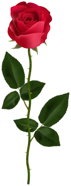 rose steam by Szymczakgame - MakerWorld