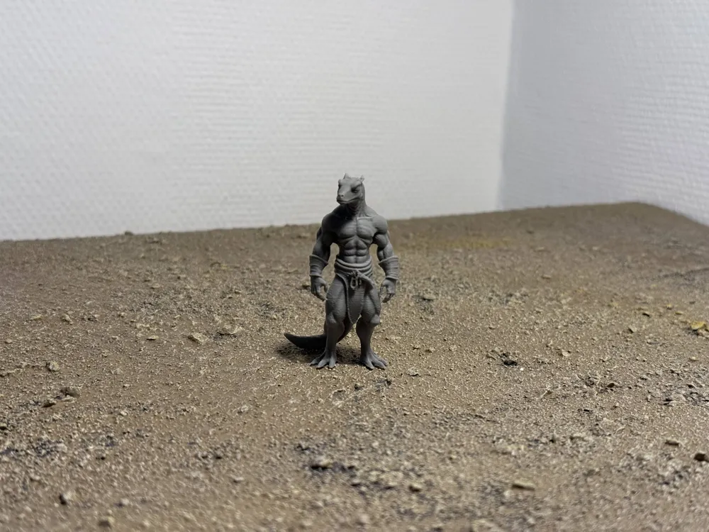 Dragonborn Monk - DND mini - Free 3D Print Model - MakerWorld