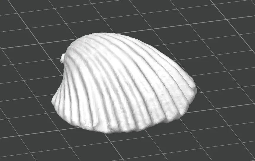 SHELL by sky1Army MakerWorld: Download Free 3D Models