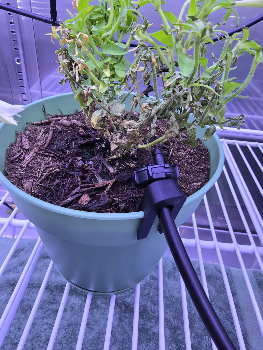 1/4" Drip Irrigation tube pot holder by Sytrus - MakerWorld