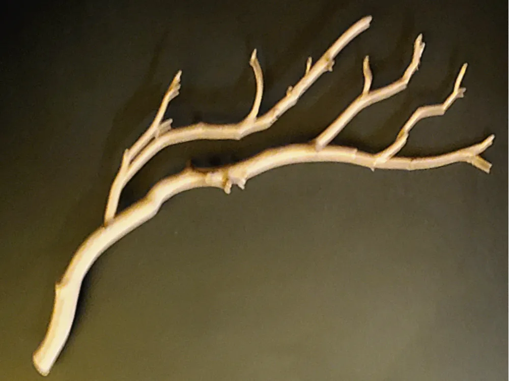 Tree Branch by CorvinS MakerWorld: Download Free 3D Models