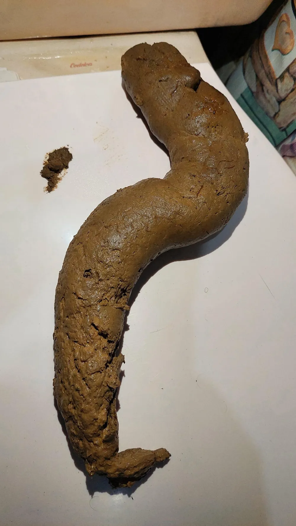 Fake Poop - Free 3D Print Model - MakerWorld