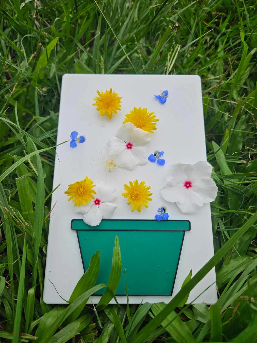 Flower Picking Board by Sprenger - MakerWorld