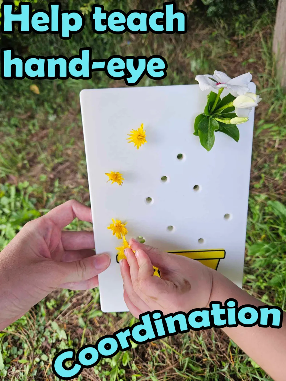 Flower Picking Board by Sprenger - MakerWorld