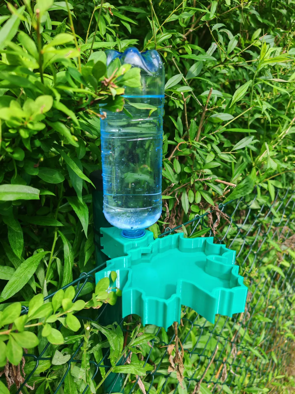 Bird drinker with bottle by MotomaniakMT - MakerWorld