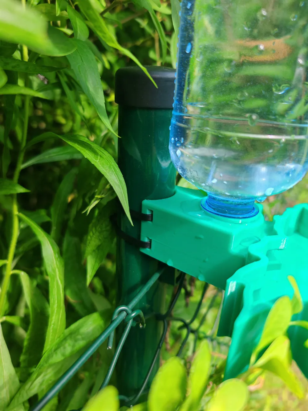 Bird drinker with bottle by MotomaniakMT MakerWorld: Download Free 3D ...