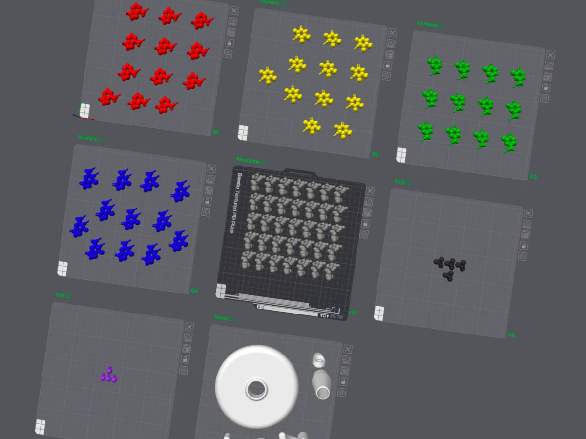 Folding DNA model kit - Free 3D Print Model - MakerWorld