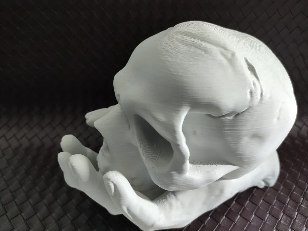 Skull in Hand - Coin bank / Piggy bank by RUMcajz MakerWorld: Download ...