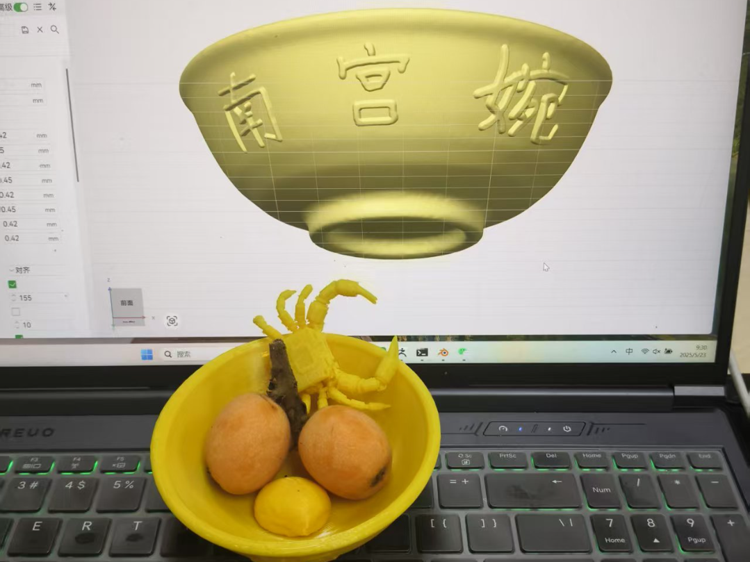A Record of a Mortal's Journey to Immortality - Nangong Wan (Bowl) by ...