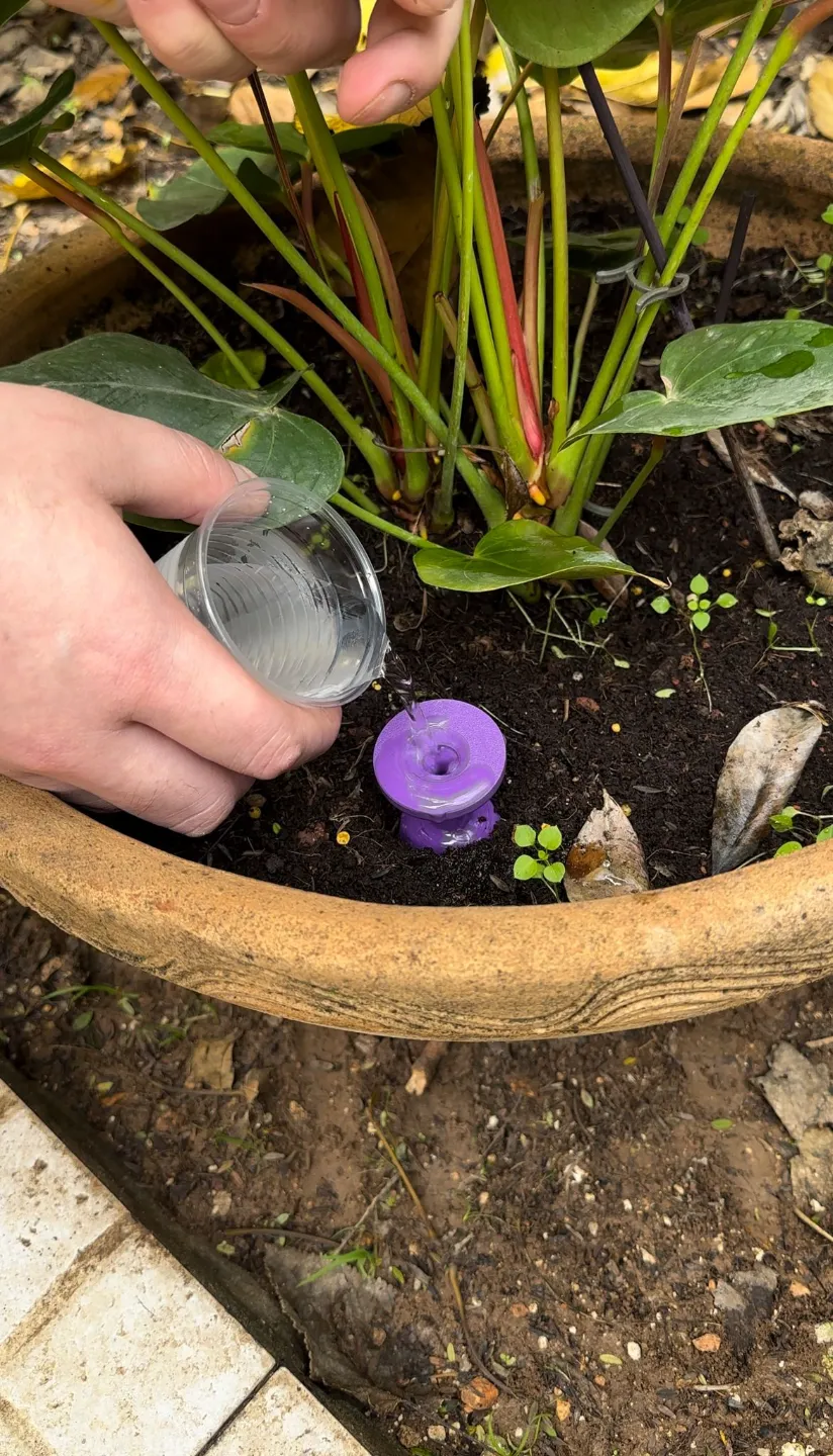 Soil plug (internal watering) by teragon technologies - MakerWorld
