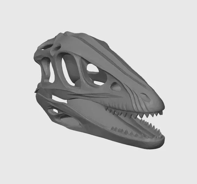 Velocorapter Skull Hide - Free 3D Print Model - MakerWorld
