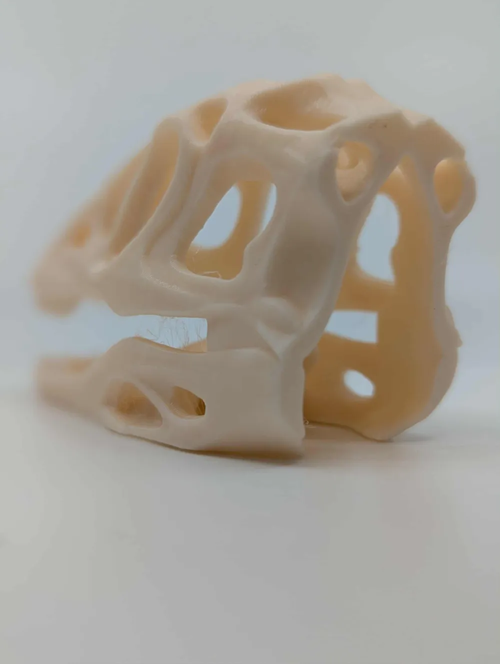 Velocorapter Skull Hide - Free 3D Print Model - MakerWorld