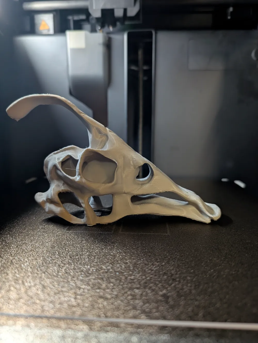 Schädel des Parasaurolophus-Dinosauriers von Garsoncreative - MakerWorld