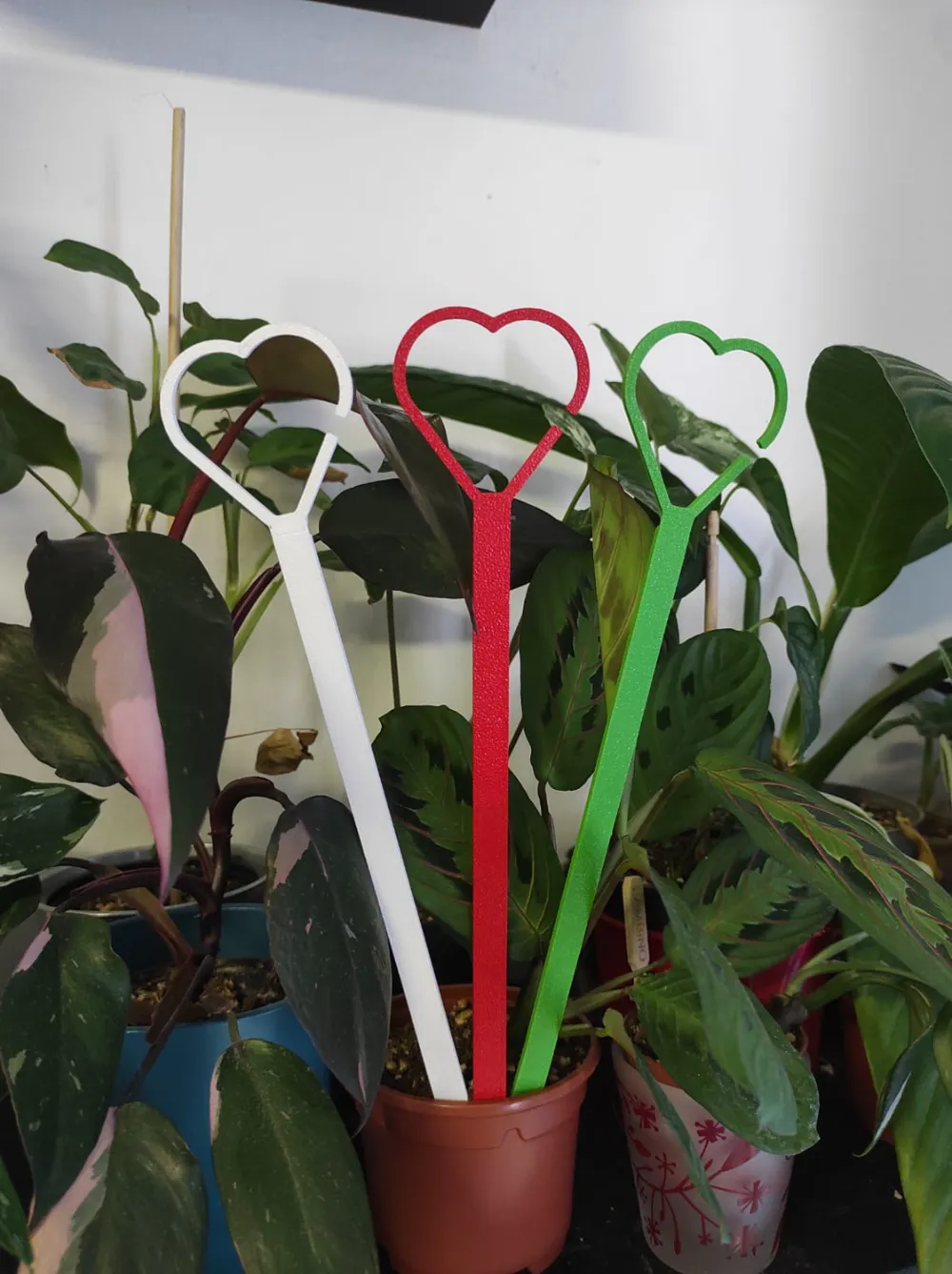plant holder by Daniel - MakerWorld