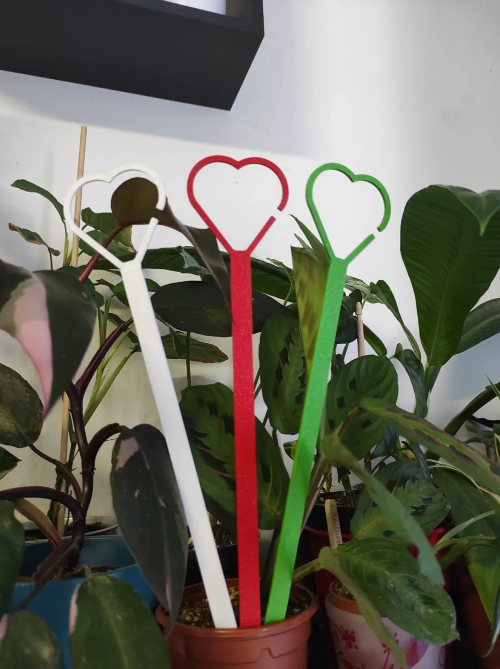 plant holder by Daniel - MakerWorld