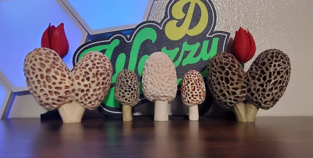 Morel Amore and Singles by DaddyWazzy_TheCreator MakerWorld: Download Free 3D Models