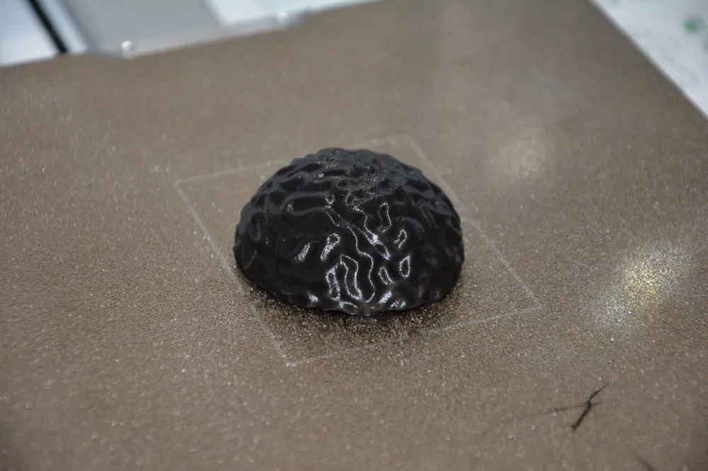 Mini Brain by AndreUser - MakerWorld