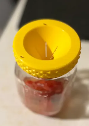 Better Fruit Fly Trap/Funnel by NUKDDD - MakerWorld