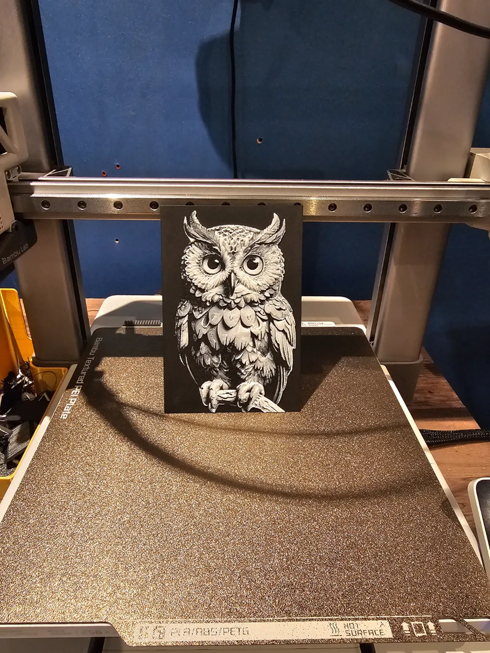 Owl by luke - MakerWorld