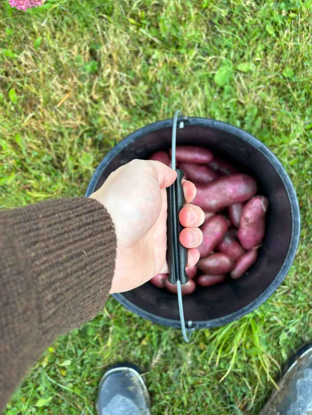 Ergonomic Bucket Handle by Morgan - MakerWorld