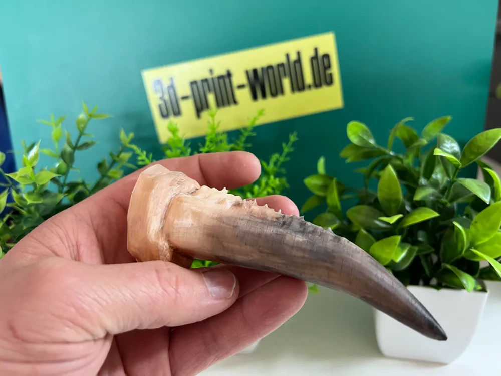 Dyrosaurus Tooth by 3D-Print-World MakerWorld: Download Free 3D Models