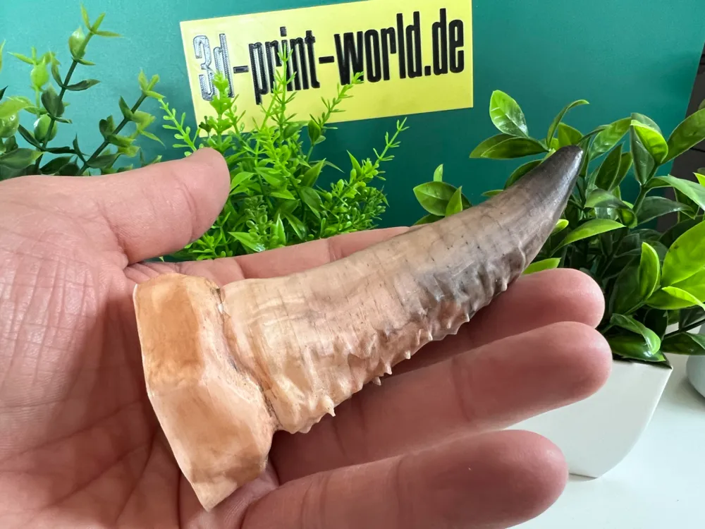Dyrosaurus Tooth by 3D-Print-World MakerWorld: Download Free 3D Models