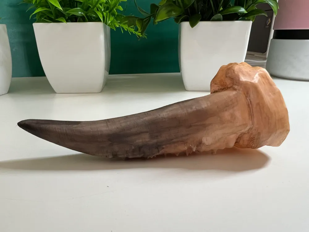 Dyrosaurus Tooth by 3D-Print-World MakerWorld: Download Free 3D Models