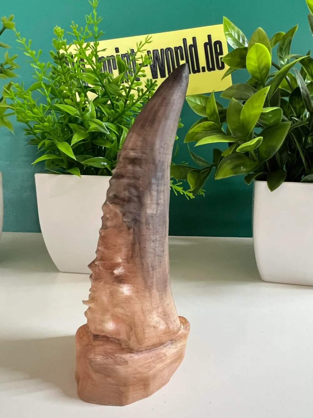 Dyrosaurus Tooth by 3D-Print-World MakerWorld: Download Free 3D Models
