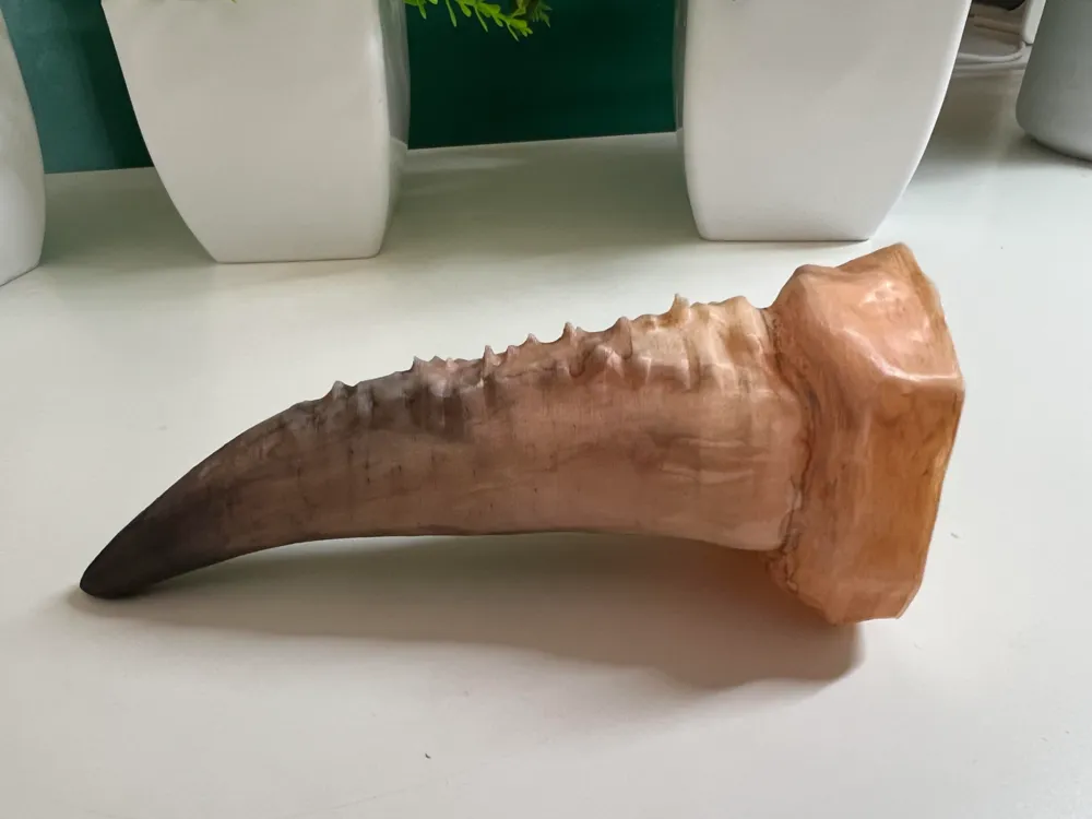 Dyrosaurus Tooth by 3D-Print-World MakerWorld: Download Free 3D Models
