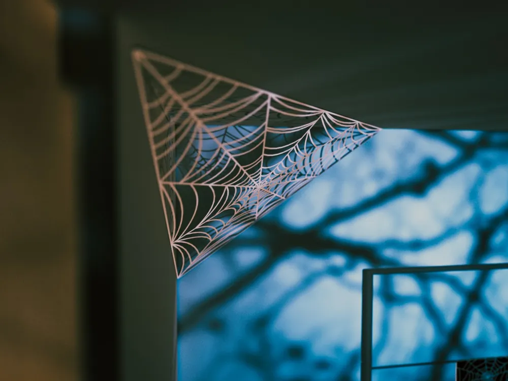 Realistic Spider Web - Ceiling Corner by Studio Twelve MakerWorld ...